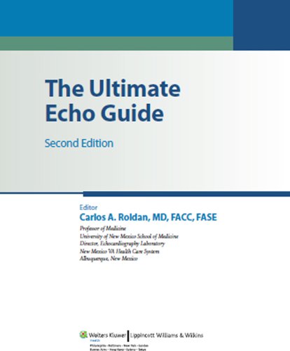 Amazon.com: The Ultimate Echo Guide eBook : Roldan, Carlos A., Roldan ...