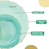 Amazon.com | Exquisite Tinted Plates 40 Piece Plastic Disposable Plates ...