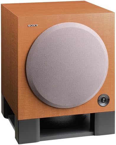 Sony SA-WX700/M Aktiv-Subwoofer: Amazon.de: Elektronik & Foto