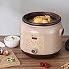 Amazon.com: TIANJI Electric Stew Pot DGD40-40SED, Purple Clay Inner Pot ...