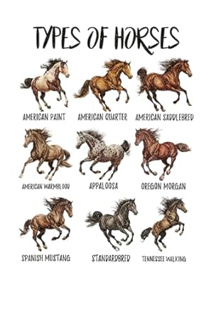 Types of Horses: A Field Guide to Your Artistic Mane Event: YueuaS ...