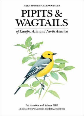 Pipits and Wagtails of Europe, Asia and North America: Identification ...