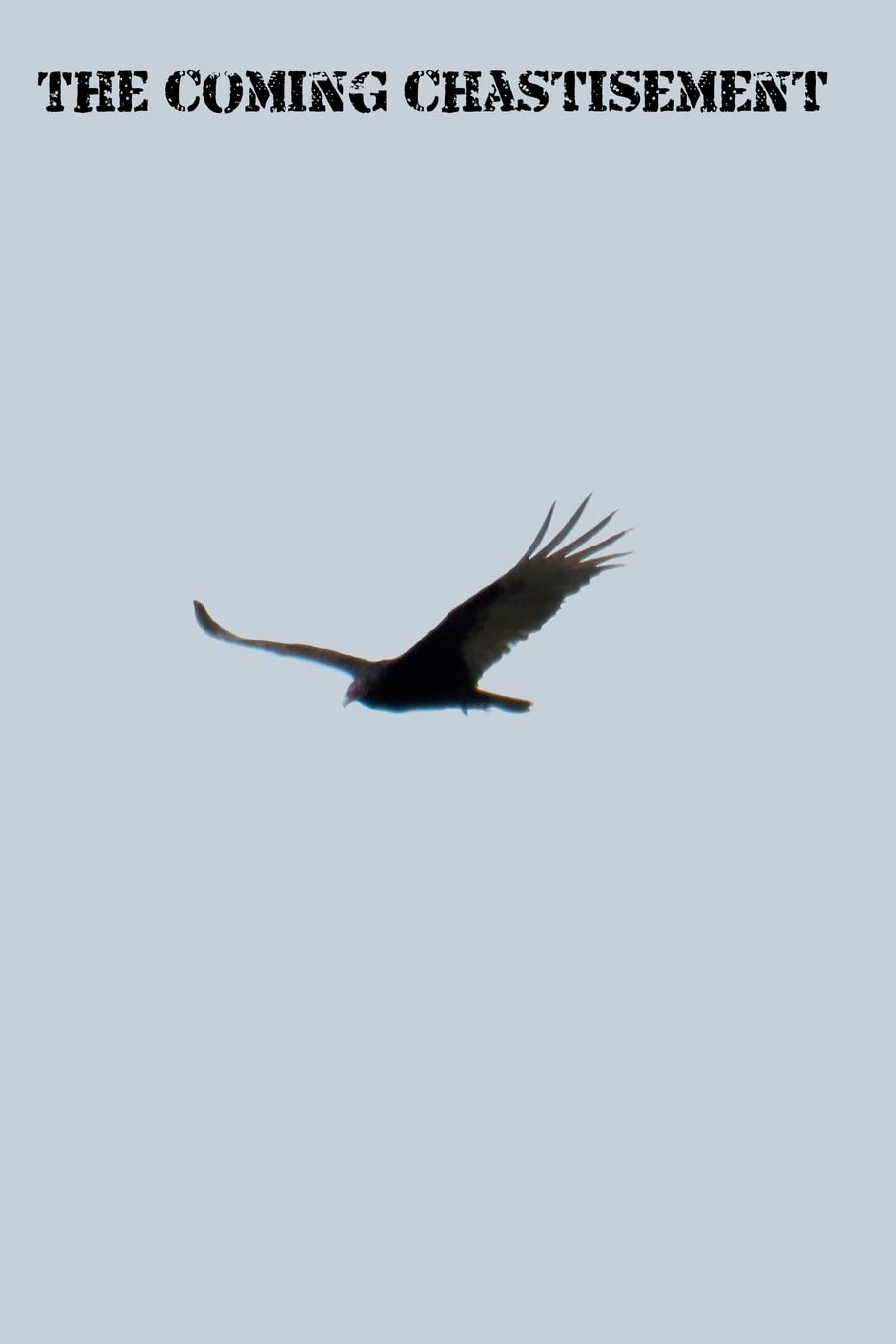 The Coming Chastisement: Michael, Pope: 9781461159506: Amazon.com: Books