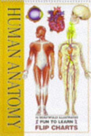 Human Anatomy (Flip Charts): 9781860195952: Amazon.com: Books