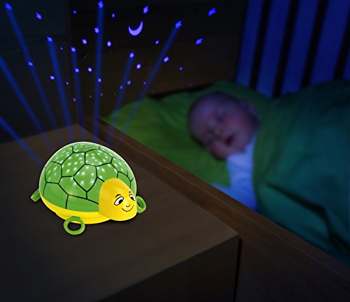 Schildkrote Als Nachtlicht