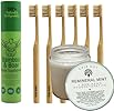 Amazon.com : Gaia Guy Natural Bristle Bamboo Toothbrush (NO Nylon ...
