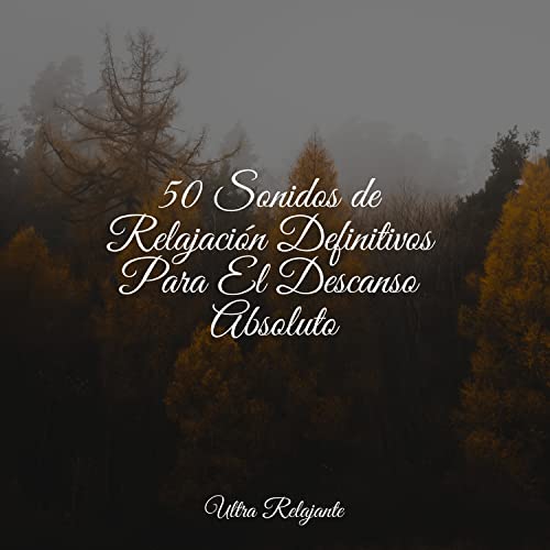 Amazon Music - Academia de Música para Massagem e Relaxamento, Masajes ...