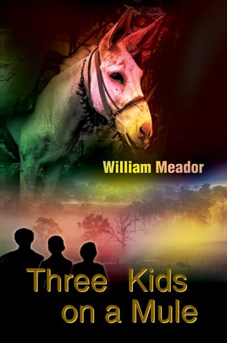 Three Kids on a Mule: Meador, William: 9780595349357: Amazon.com: Books