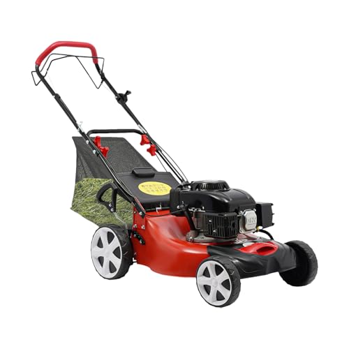 Top 10 Best Self Propelled Gas Mower : Reviews & Buying Guide - Katynel