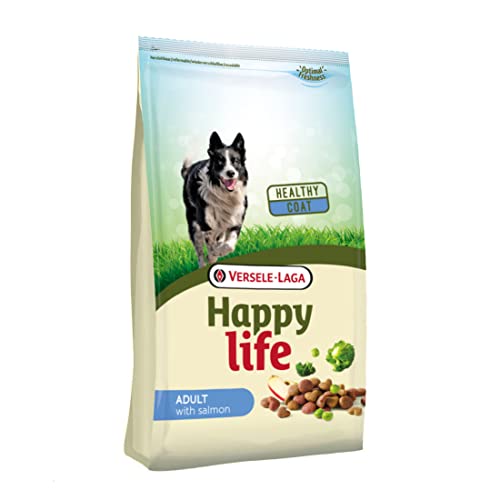 My Friend Hundefutter – Die 15 besten Produkte im Vergleich ...