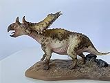 Chasmosaurus Dinosaur Facts - information about the dinosaur chasmosaurus