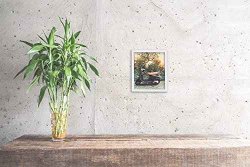 Wall Space 12×10 White Frame | Matt White Picture Frame 12 x 10 inches ...