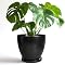 Amazon.com : EPFamily Ceramic Plant Pot, 6 Inch Ceramic Planter Pot ...