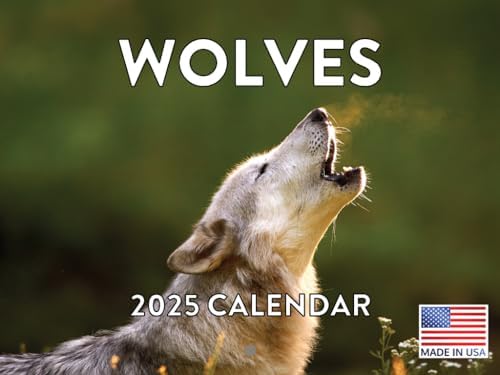 Amazon.com : 2024 Wolves Monthly Wall Calendar, 16 Months, 12" x 12 ...