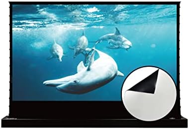 Amazon.com: SCREENPRO 120 inch Non-Tensioned Floor Rising Projector ...