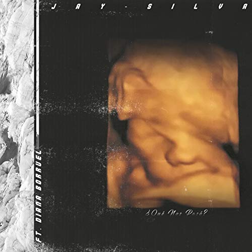 ¿Qué Nos Pasó? by Jay Silva on Amazon Music - Amazon.com