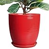 Amazon.com : EPFamily Ceramic Pot for Plants 12 Inch - Plant Pot Indoor ...