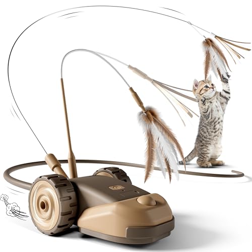 Automatic Cat Toys – The 15 best products compared - Wild Explained