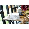 Amazon.com: Mini Farmhouse Bathroom Decor - Funny Rustic Wooden ...