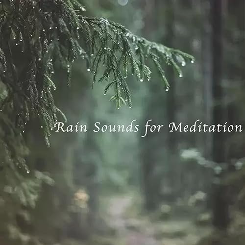Forest Water song by Nature Sounds FX Collective from Rain Sounds for Meditation on Amazon Music