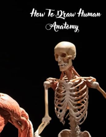 How To draw Human Anatomy: Beginners a Drawing Guide for Medical ...