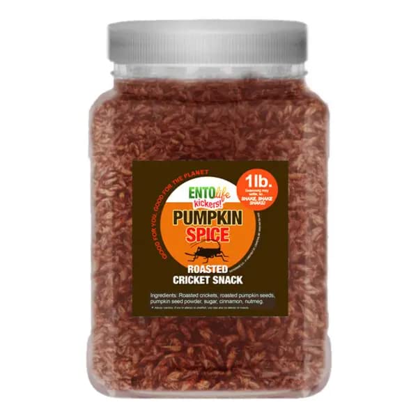 Amazon.com : Pumpkin Spice Flavored Edible Cricket Snacks - Pound Size ...
