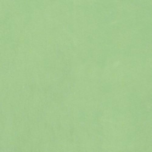 Amazon.com: Light Green Stretch Velour Fabric : Everything Else