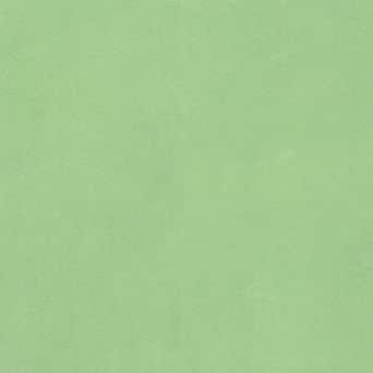 Amazon.com: Light Green Stretch Velour Fabric : Everything Else