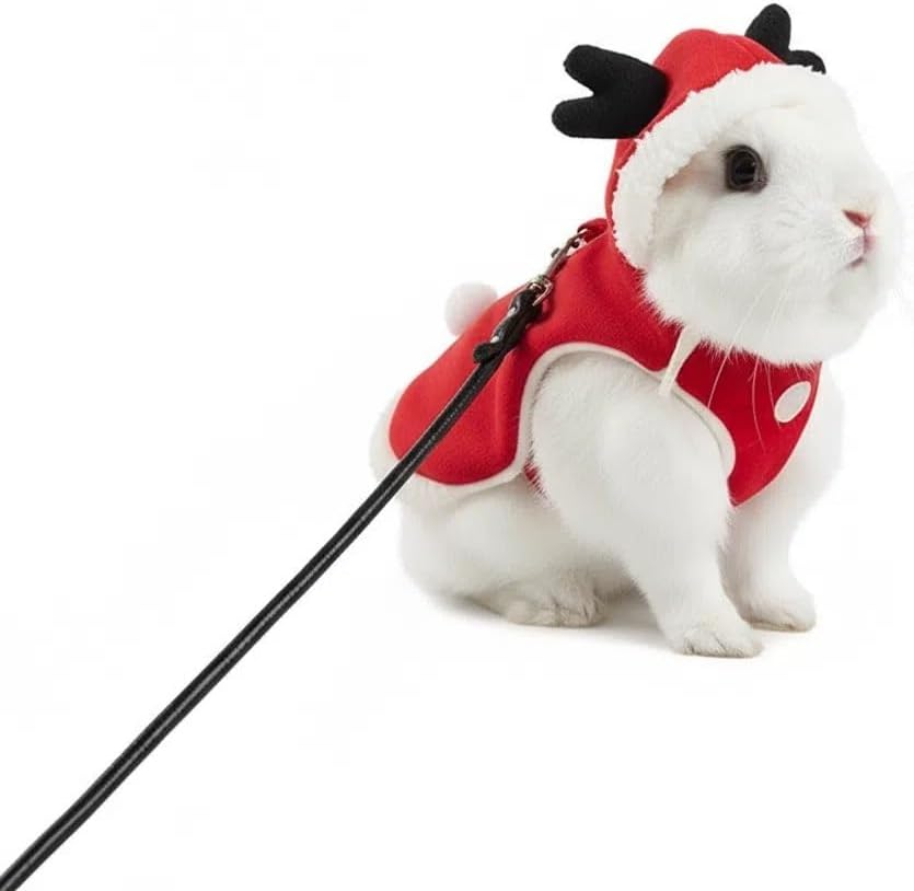 Amazon.com: Christmas Rabbit Harness with Leash, Red Velvet Bunny ...