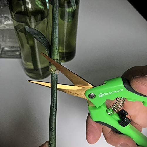 Best Bud Trimming Scissors | The Highest Crop