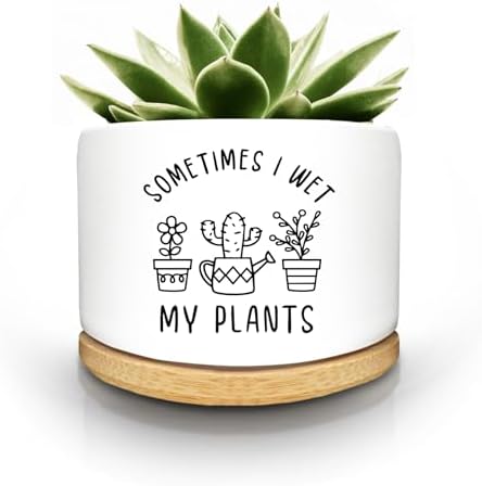 Amazon.com: Lasimfa Funny Succulents Plant Pots, Set of 2, Small ...
