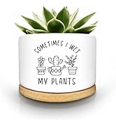 Amazon.com: Lasimfa Funny Succulents Plant Pots, Set of 2, Small ...