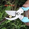 Amazon.com : Curve Gardening Scissor with Sharp Stainless Steel Blade ...