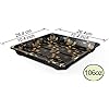 Amazon.com | SEABOOM 12# Sushi Container Sushi Tray Sushi plate Samurai ...