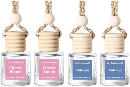 Amazon.com: CE Craft Fruity 4 Pack Car Air Hanging Fragrance Oil ...