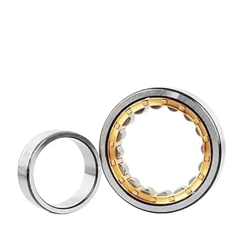 Cylindrical Roller Bearing NF 304 305 306 307 308 309 310 311 312 313 314 315 316 317 E EM High ...