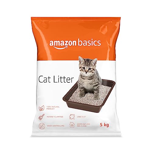 Best Cat Litter In India (July 2024)
