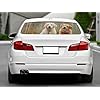Amazon.com - VulgrCo Custom One-Way Perforated Vinyl Decal for Rear ...