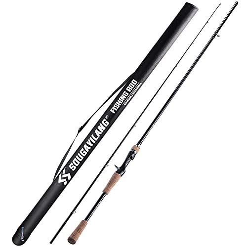 Top 10 Best 2 Piece Casting Rod : Reviews & Buying Guide - Katynel