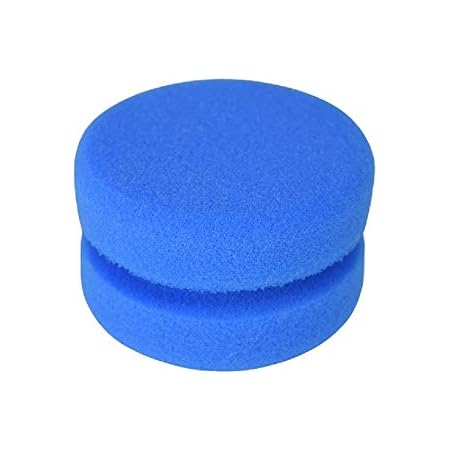 Blue Sponge