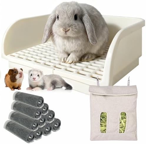 Rabbits - Rango, Mango and Tango's Amazon Page