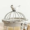 Amazon.com: Bird Cage Shaped Metal Tea Light Candle Holder Farmhouse ...