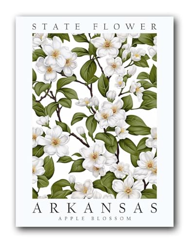 Amazon.com: Apple Blossom, Arkansas State Flower, Poster Print, Wall ...