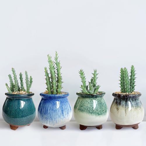 Amazon.com : 3 inch Glaze Handcraft Ceramic Pot Set, Small Succulent ...