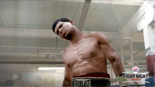 Top 21 PS3 Boxing Games To Play (April 2024) - Cherry Picks