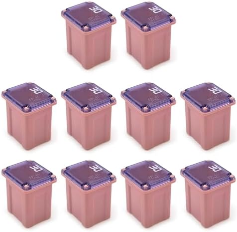 Amazon.com: Tesnaao Pack-10 30 Amp Micro Cartridge Fuses, Box Shaped ...