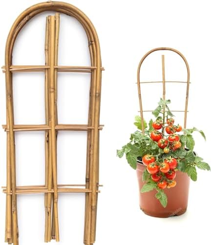 Amazon.com : 20 Pack Bamboo Trellis U-Hoop for Potted Plants - 16 Inch ...