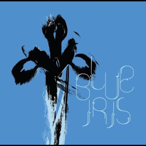 Amazon.com: Blue Iris [Explicit] : Blue Iris: Digital Music