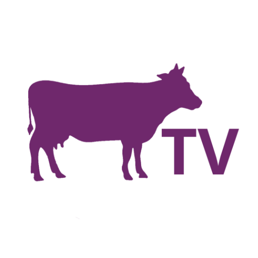 Purple Cow TV - App on Amazon Appstore