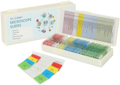 100 Prepared Microscope Slides with Specimens for Kids Adults ...